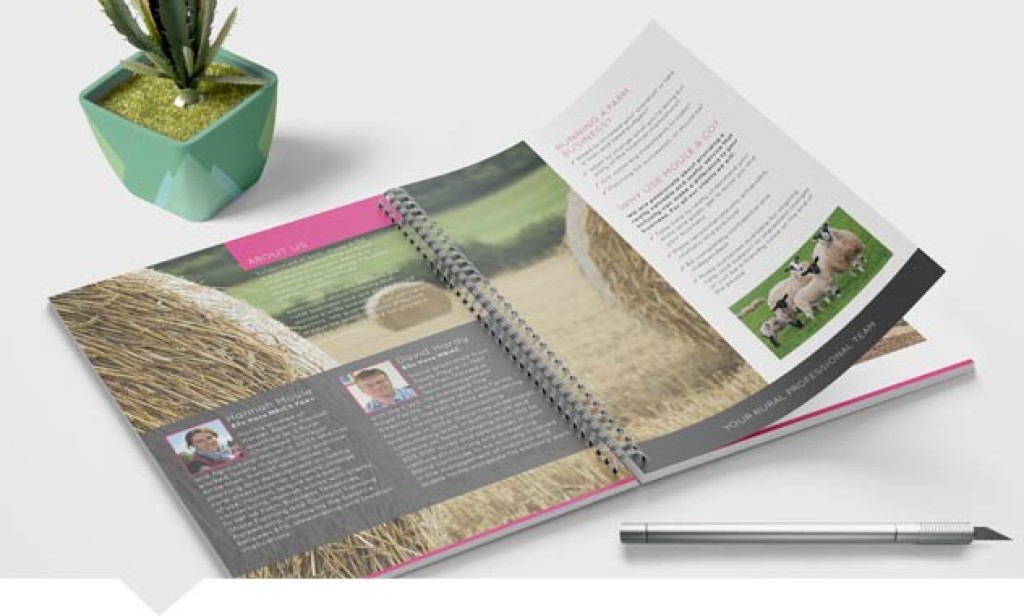 Wire Bound Booklets & Brochures | Wiro, Spiral Binding | Print-Print