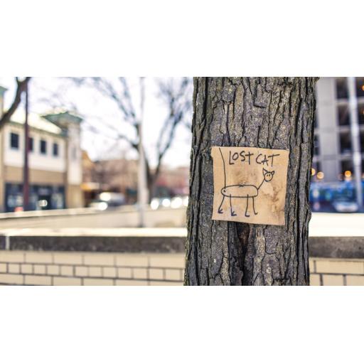 How to make a flyer stand out? - Print & Marketing Blog